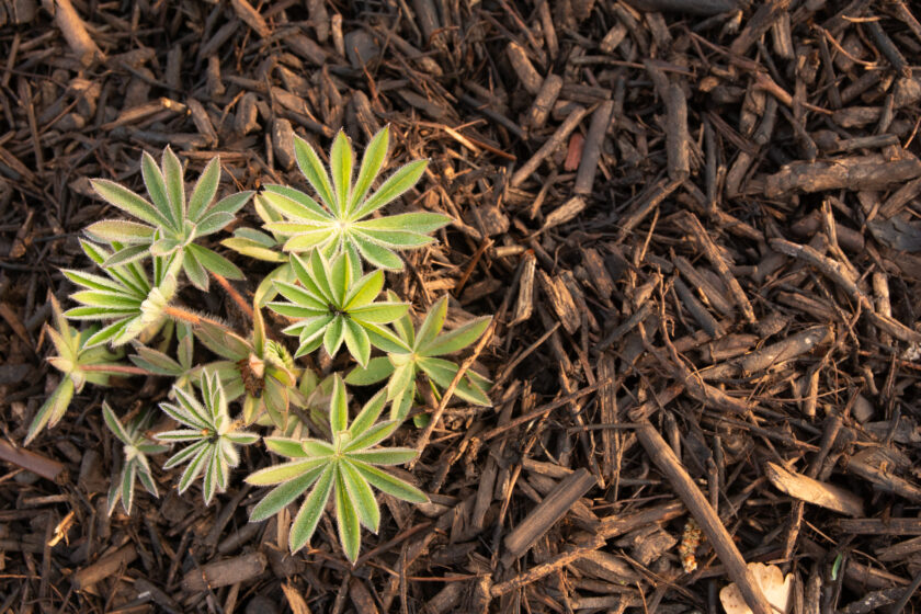 - KreisAbfallVerwertungsGesellschaft-KAVG kommunales Entsorgungsunternehmen